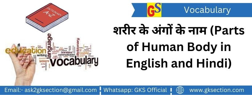 Human Body Parts Name In English Hindi Www Human Body Parts Name In English Hindi Www