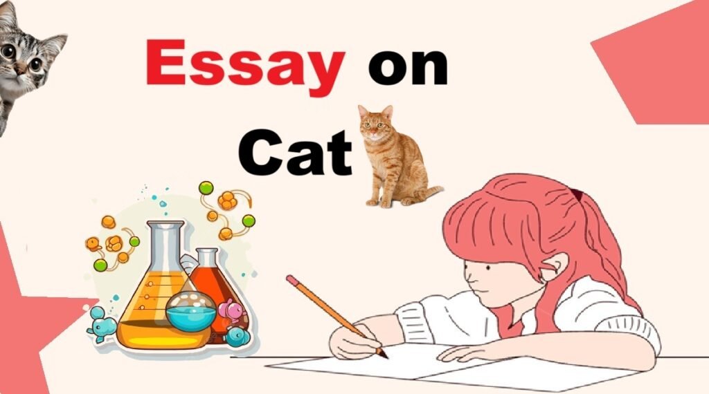 Essay On Cat [500 Words] - Gksection