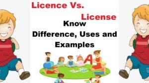 Licence Vs. License: Difference, How to use and Sentence Examples ...