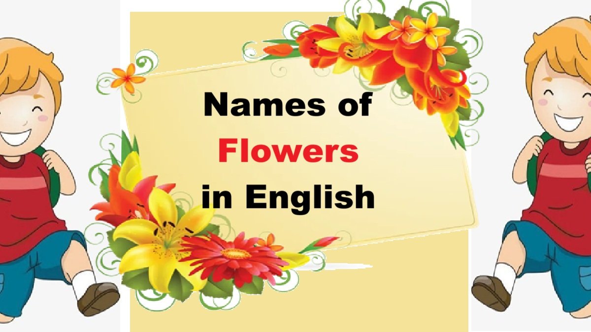 Names of Flowers | 30 Flowers Name for Kids - GkSection